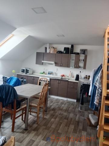 e SPOLUBYDLENI.cz Nabízím místo/pokoj Břeclav spolubydlící pronájem byty